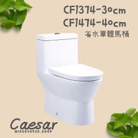 凱撒沖水式馬桶的價格推薦- 飛比2023年05月即時比價